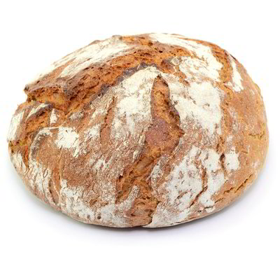 Panaccio | Eurospin Spesa Online