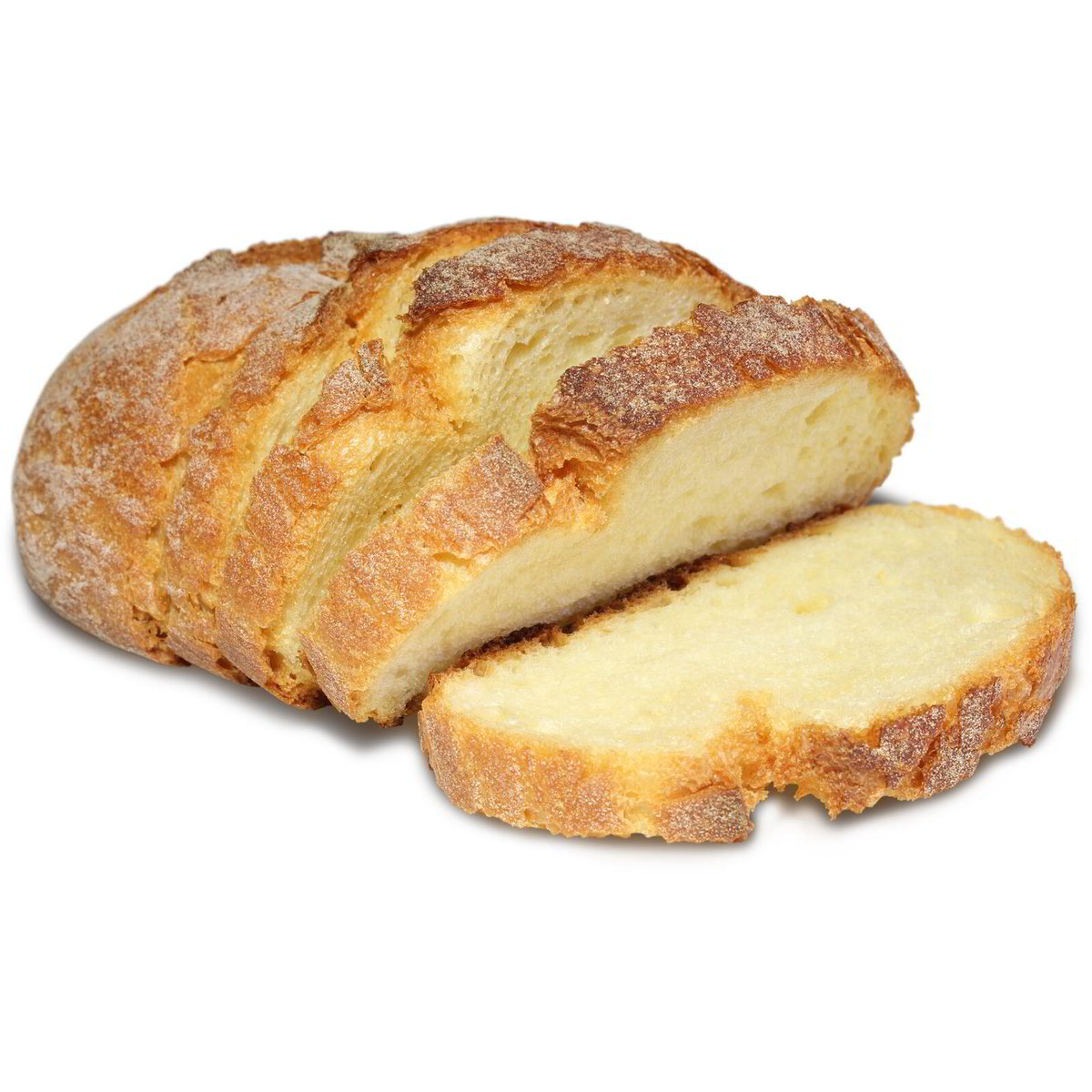 Pane di semola rimacinata di grano duro con lievito madre Bio ...