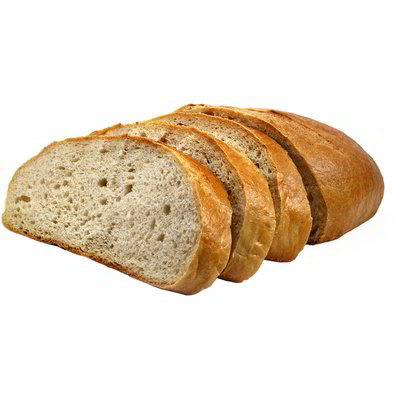 Pane basso di semola di grano duro da "Pane di Altamura DOP" affettato ...