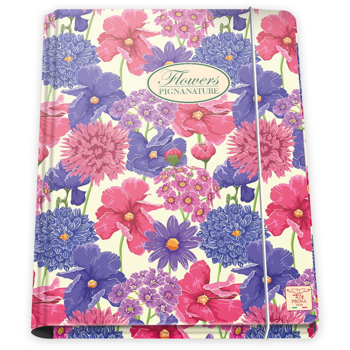 Cartella con 3 lembi ed elastico "Pigna Nature Flow" | Eurospin Spesa ...